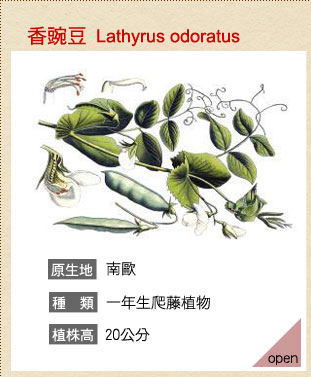 TAAZE|改變歷史的50種植物：一本結合綠色世界與人類歷史，告訴你植物與文明如何相互影響、密不可分的動人故事集！